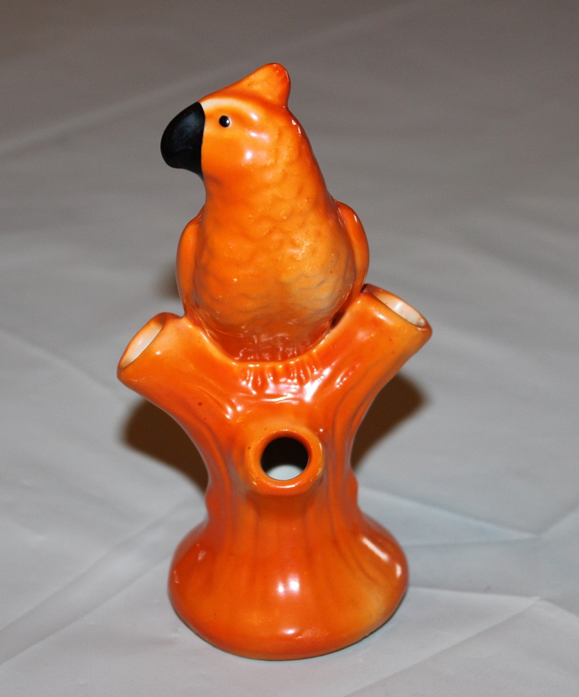 The most colorful bird yet